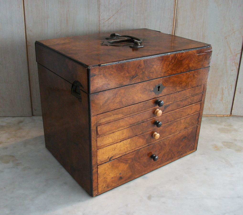 A Victorian Collector's Chest